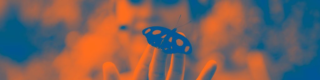 WRAP: Transforming Patterns of Distress into Recovery and Wellness - UF ...